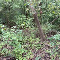 1351 N Sheridan Rd, Lake Forest, IL, 60045 - Land For Sale