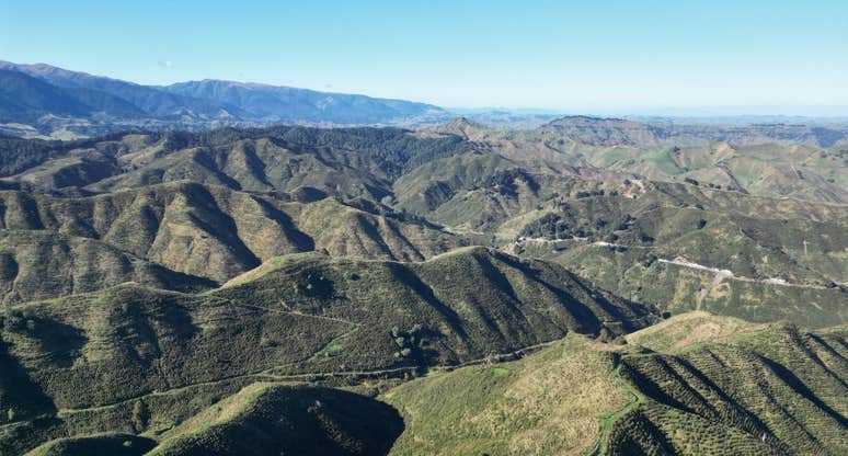 369 Makopua Road, Taoroa Junction, Manawatu-Wanganui - Property Listing