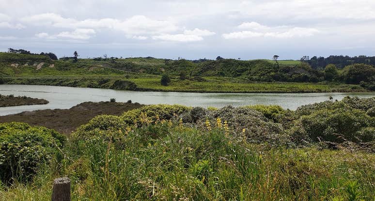 2A Cambridge Street, Patea, Taranaki - House Sold on 09 12 2022