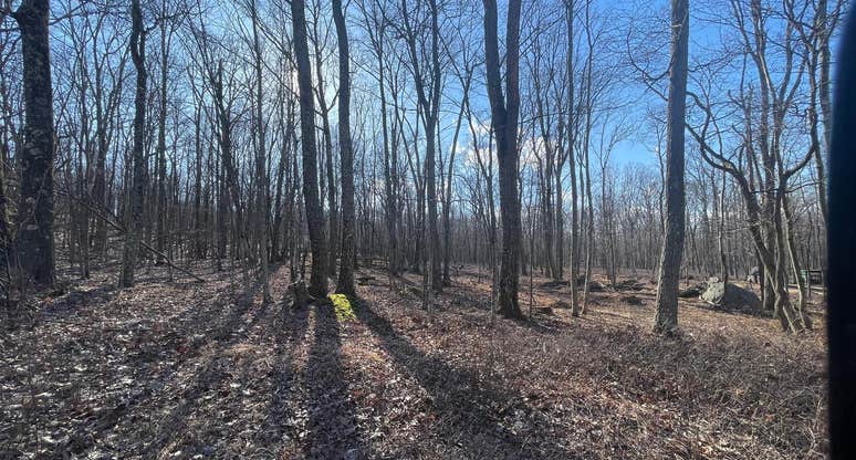 271 Camel Back Lane, Zion Grove, PA, 17985 - Land For Sale