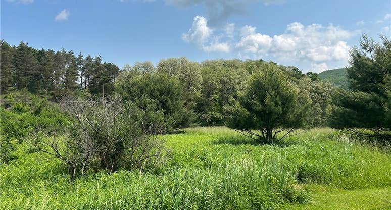 Clark Road, Almond, NY, 14803 - Land Sold on 29 09 2025
