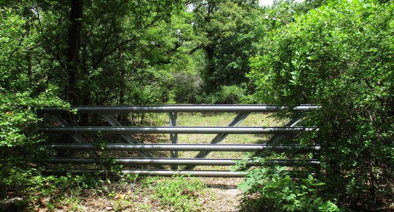 0 Stewart Street, Cuthbert, GA, 39840 - Land For Sale | RateMyAgent