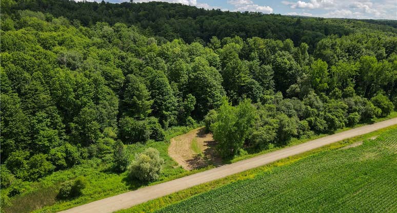 VL Otis Smith Road, Granger, NY, 14735 - Land For Sale