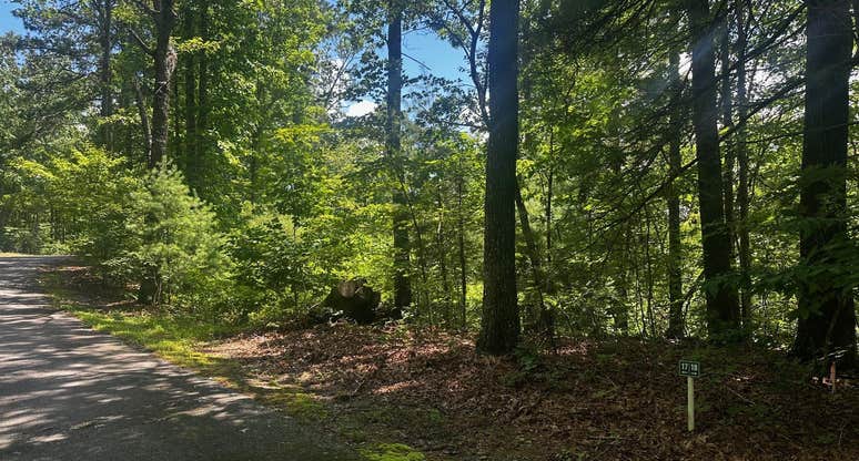 130 Brown Bear Ridge Trail, Henderson County, NC, 28790 - Land For Sale