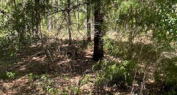 Southwest 30th Street Ocala FL 34481 - Land For Sale