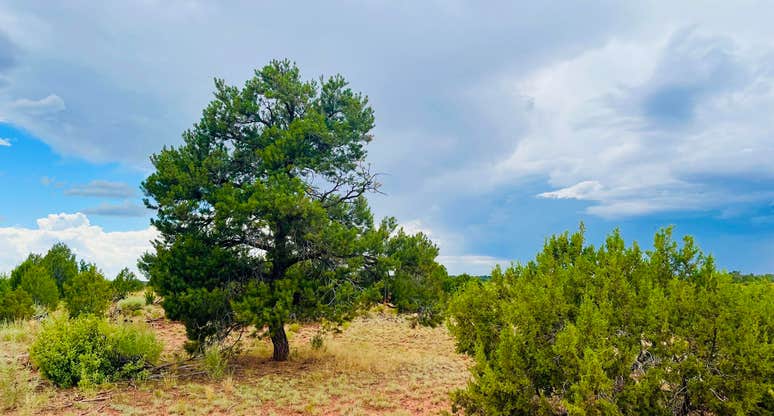 Lot 3/4378 Lasso Loop, Valle, AZ, 86046 - Land For Sale | RateMyAgent