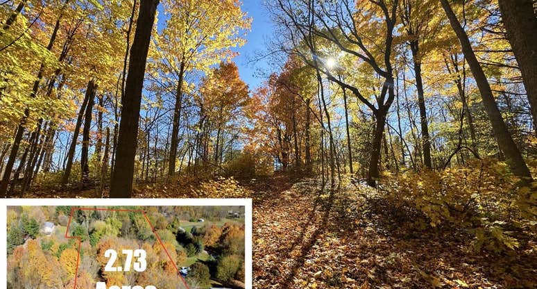 6881 84th St SE, Caledonia, MI, 49316 - Land For Sale