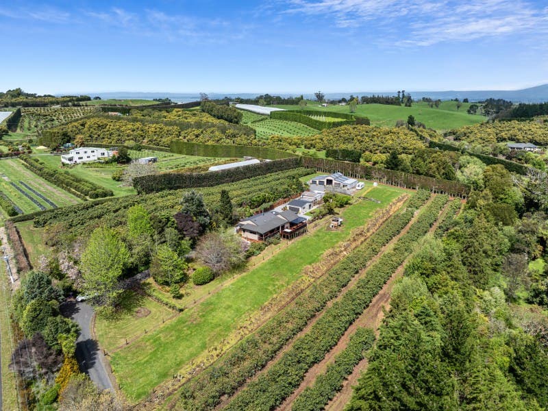 124 Kauri Point Road, Katikati, Bay of Plenty - Rural For Sale