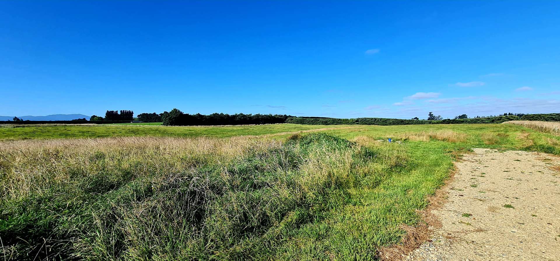 409B Springbank Road, Swannanoa, Canterbury - Other Sold on 04 05 2023 ...