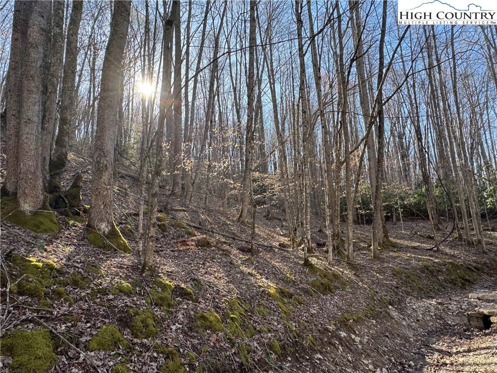 Buckeye Ridge Rd, Beech Mountain, NC, 28604 - Land Sold on 26 09 2025