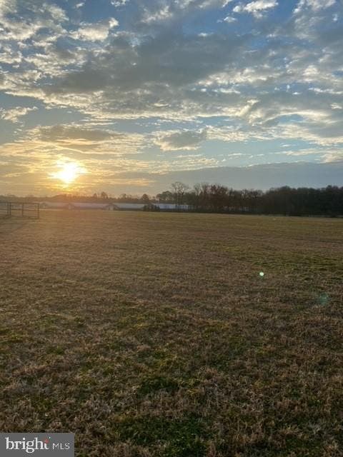 31243 East Trap Pond Road, Laurel, DE, 19956 - Land Sold on 25 10 2023