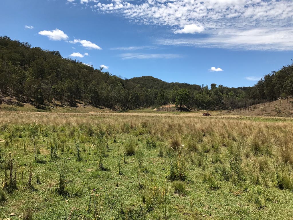 Putty Valley Rd Putty NSW 2330 - Land Sold on 06 08 2019