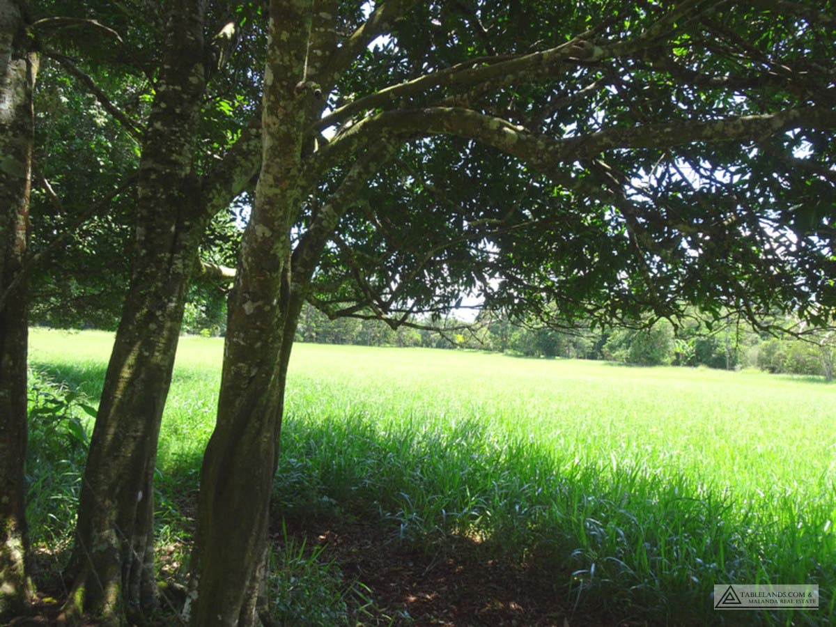 Kureen Road Kureen QLD 4885 - Land Sold on 23 05 2022