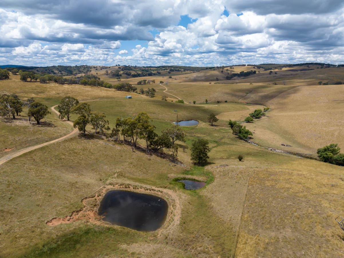 432 Byng Road, Byng, NSW, 2800 - Rural Sold on 24 03 2023