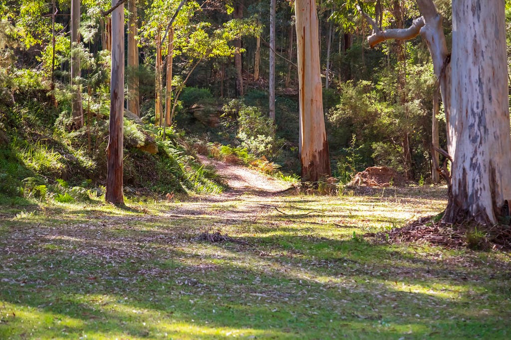LOT 5 PUTTY VALLEY ROAD, Putty, NSW, 2330 - Land Sold on 23 04 2020