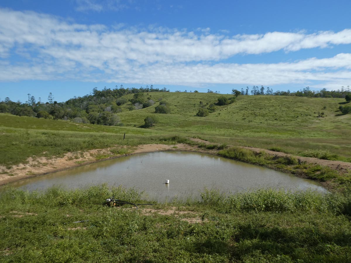 820 Good Night Scrub Road, Good Night, QLD, 4671 - Rural Sold on 18 06 2021