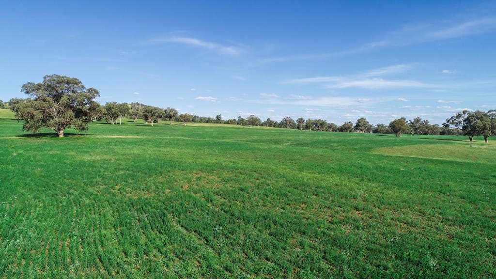 6773 Goolma Rd, Wuuluman, NSW, 2820 - Rural Sold on 24 07 2020