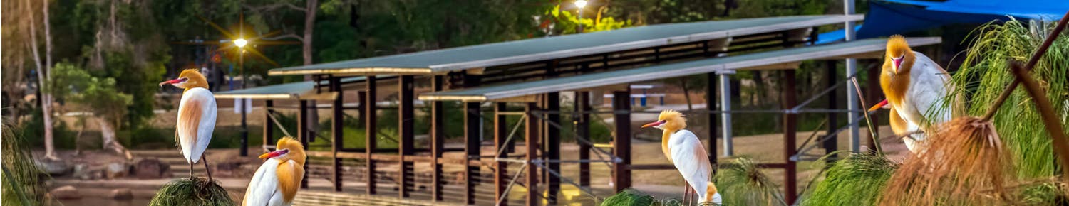 336 reviews for Leisa Le at @ap-realty | RateMyAgent